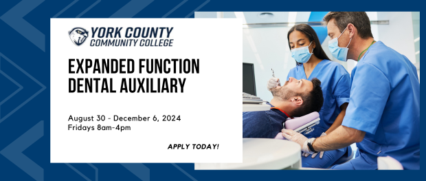 Maine Dental Association | American Dental Association